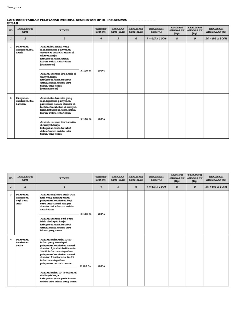 Format SPM Puskesmas 2020 | PDF