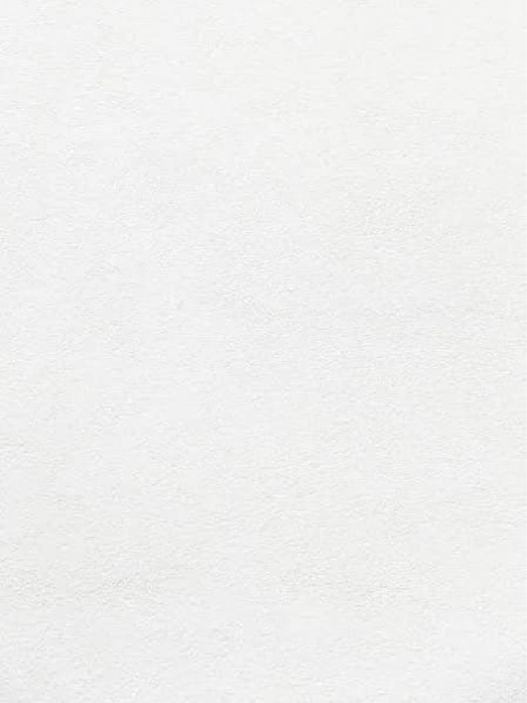 White Sheet | PDF
