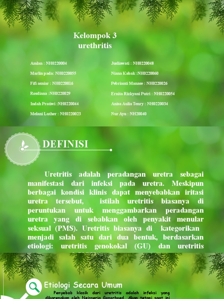 Urethritis STIKNA | PDF