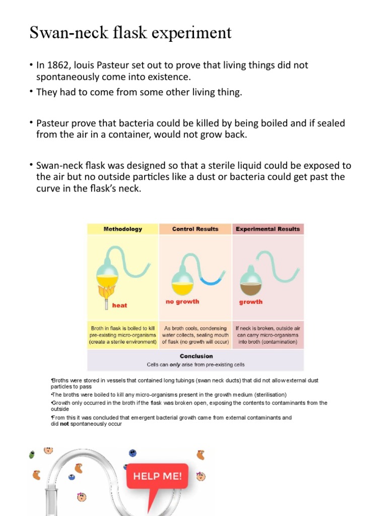 Swan-Neck Flask Experiment | PDF