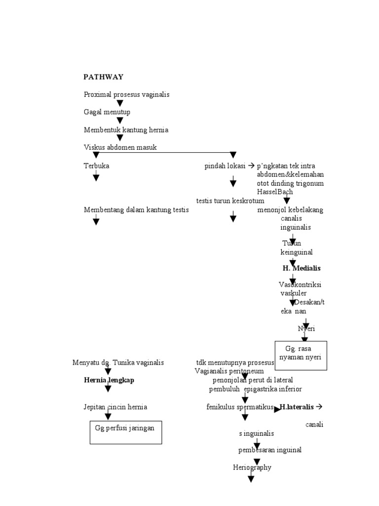 Pathway Hernia Inguinal Is | PDF