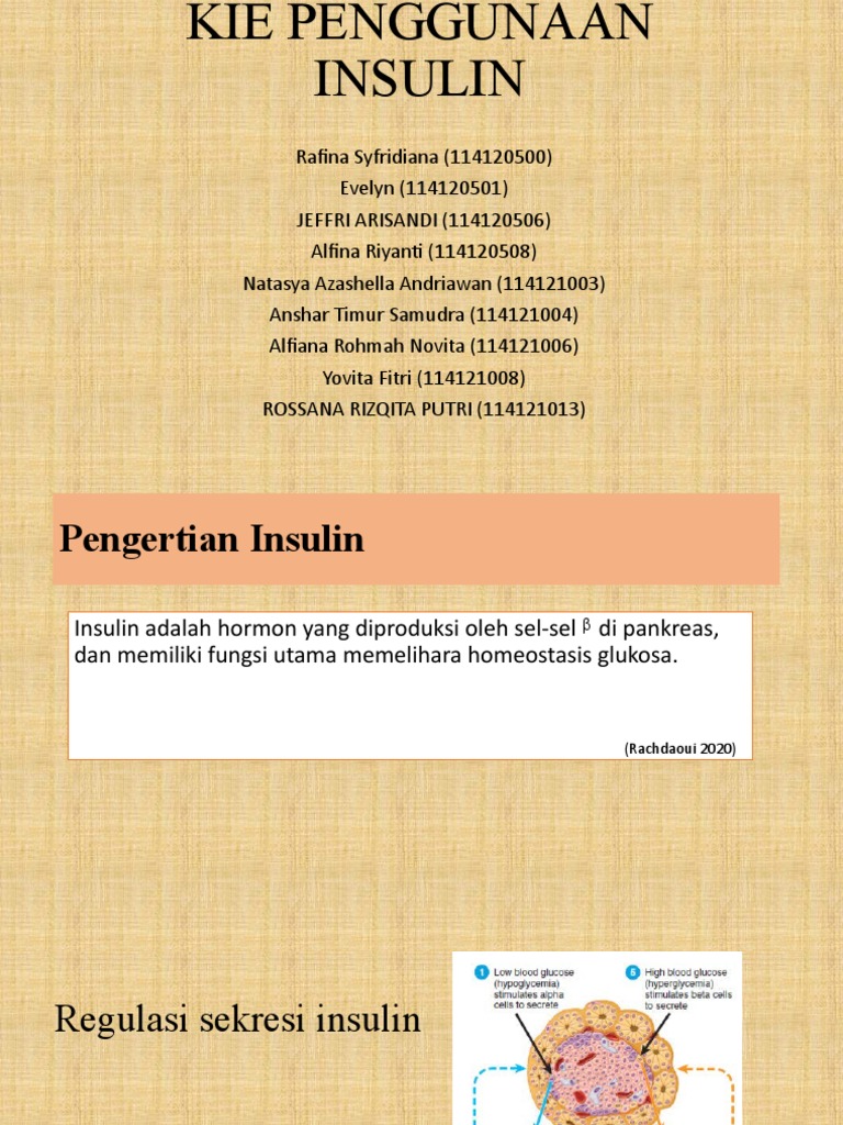 Panduan Penggunaan Insulin Pen | PDF | Kesehatan Holistik