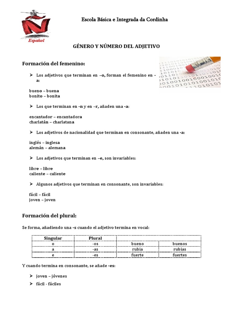 Género y Número en Español: Guía Rápida | PDF