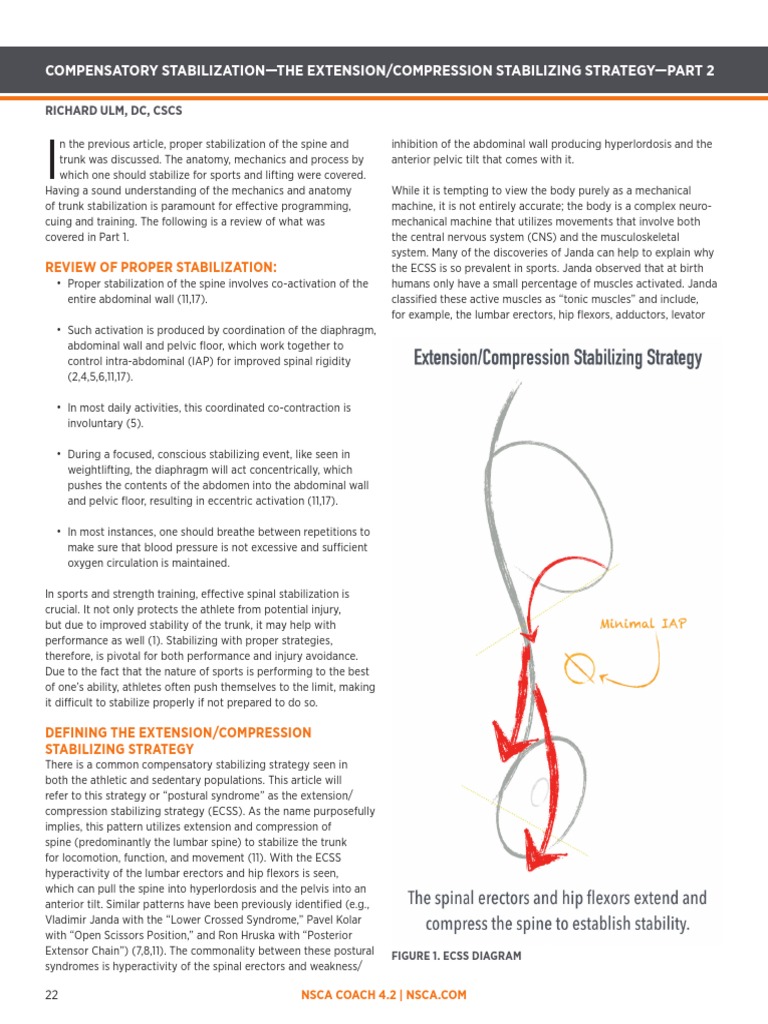 NSCA Coach 4.2 | PDF | Pelvis | Physical Therapy