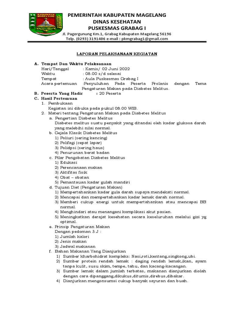 Laporan Prolanis DM | PDF