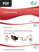 Poultry Production Lecture Notes | PDF | Poultry Farming | Chicken
