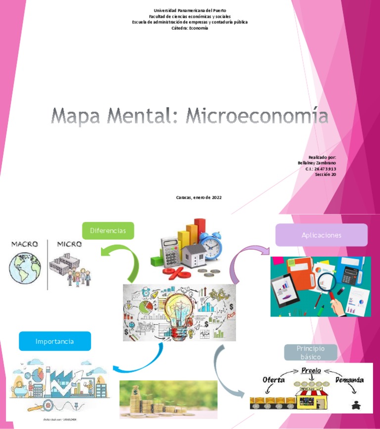Mapa Mental Microeconomia | PDF