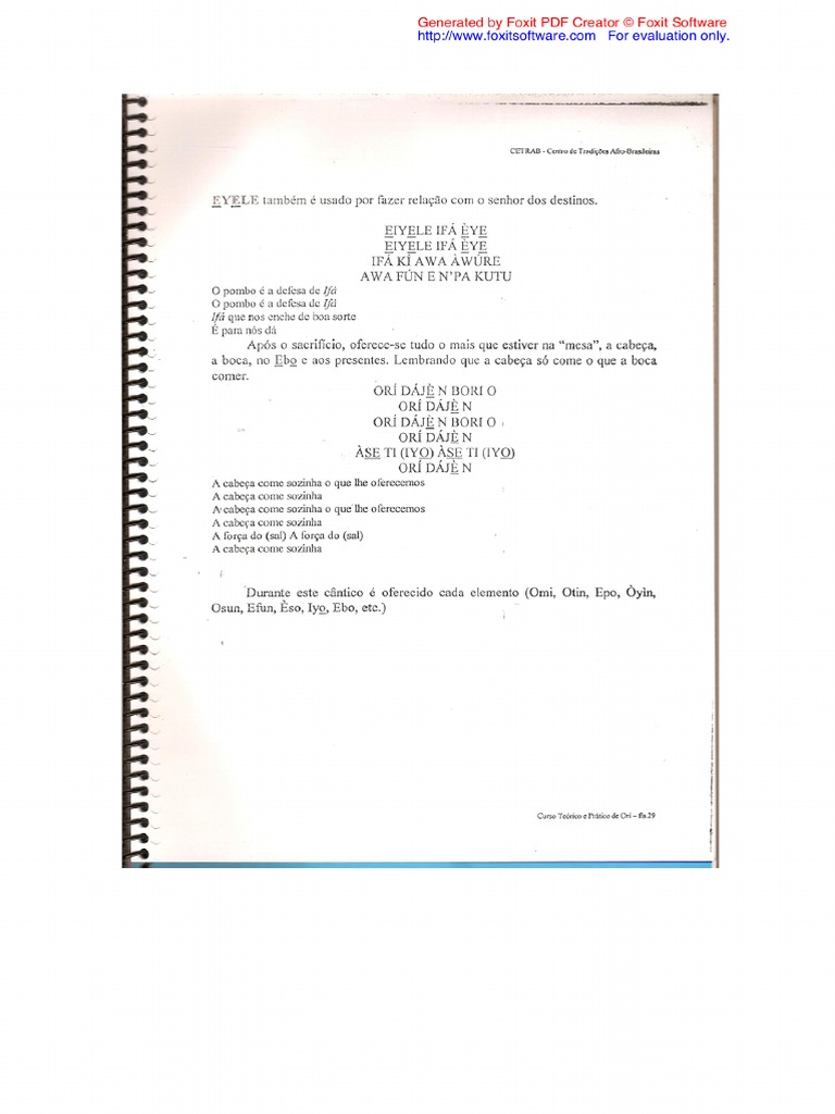 307729488-Candomble-Bori-Oloye-marcelo Page 28 - OCR | PDF