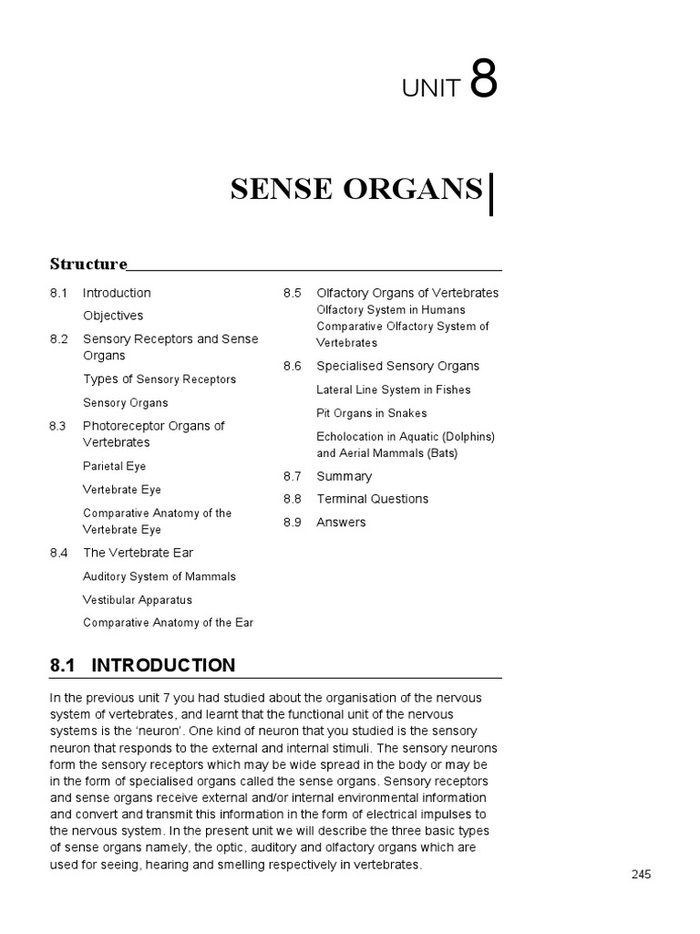 Unit 8 Sense Organs | Download Free PDF | Senses | Ear