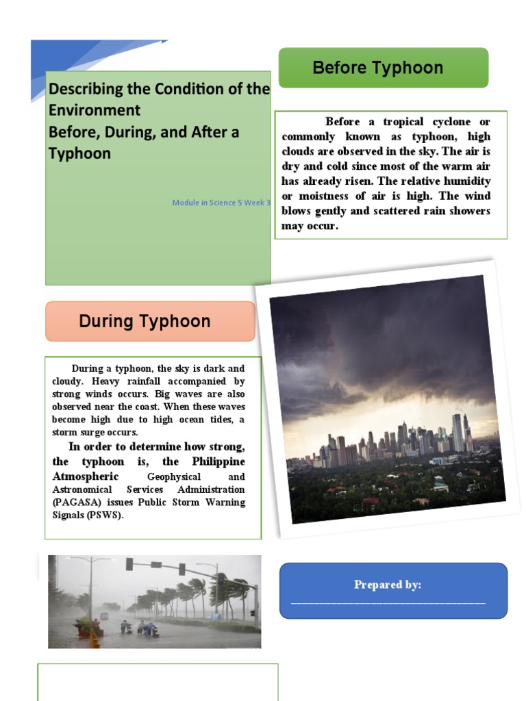 Typhoon For Brochure | PDF | Tropical Cyclones | Rain