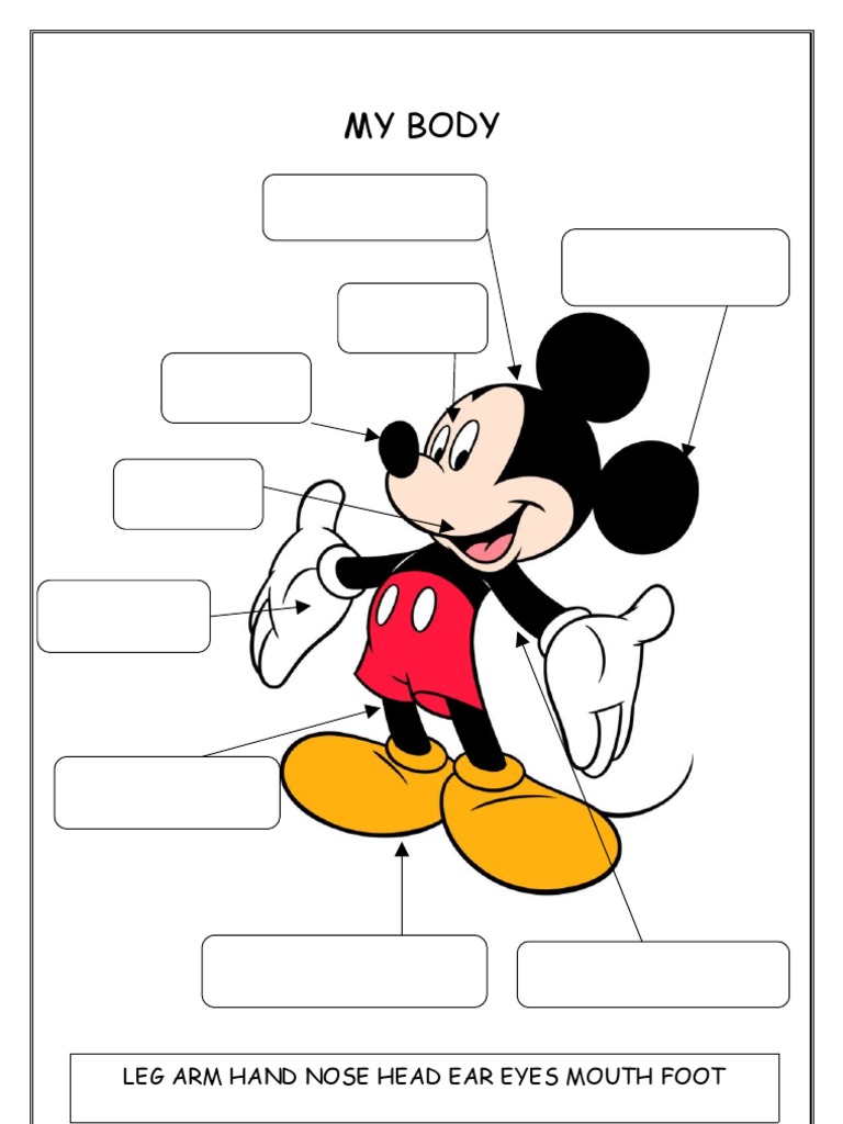 Mickey Body | PDF