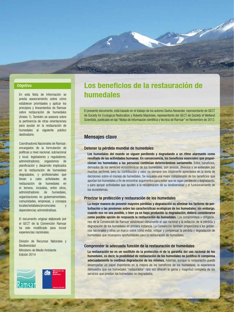 Beneficios de La Restauración de Humedales | PDF | Humedal | Paisaje