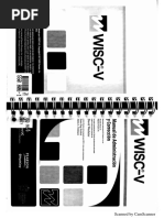 Wisc V Protocolo | PDF