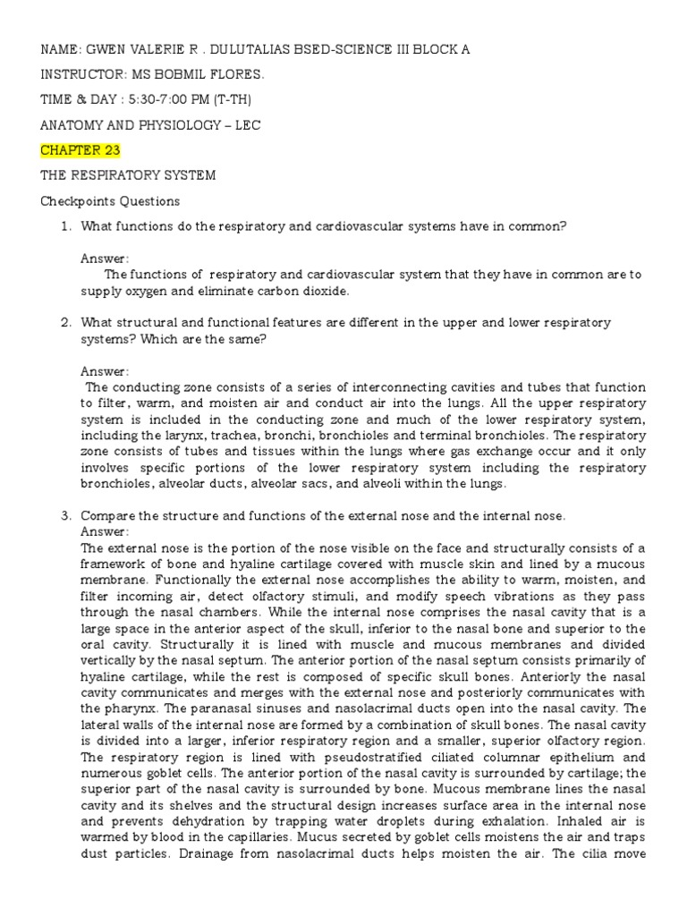 Dulutalias - Chapter23-THE RESPIRATORY SYSTEM | PDF | Lung ...