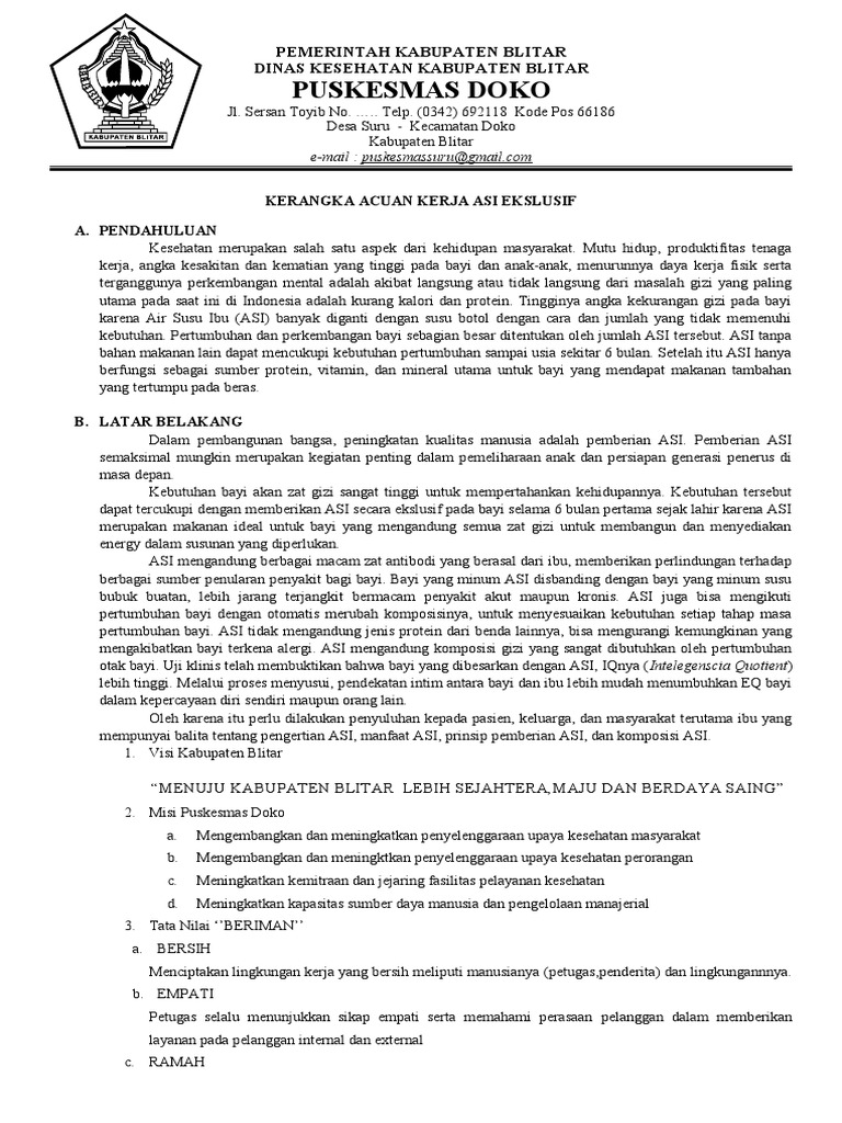 KAK ASI Ekslusif | PDF | Kesehatan Holistik