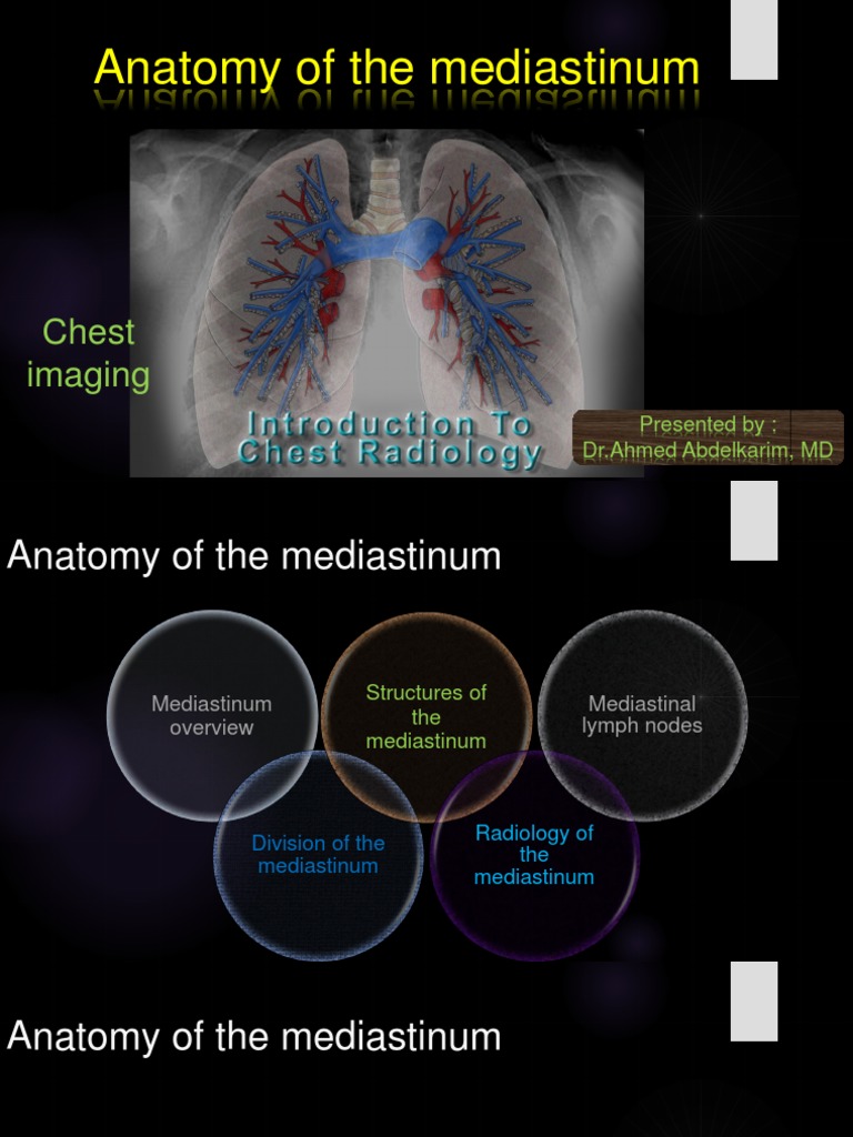 Mediastinum Anatomy and Radiology Overview | PDF | Aorta | Lung