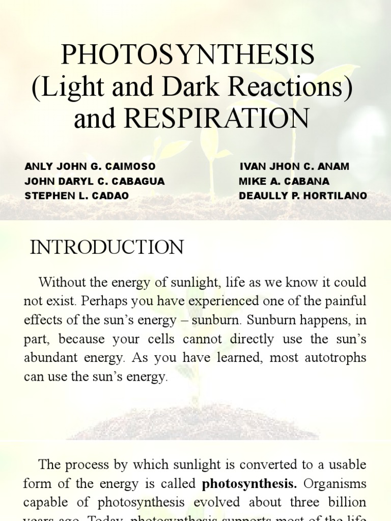 Photosynthesis Respiration Report Final | PDF | Cellular Respiration ...