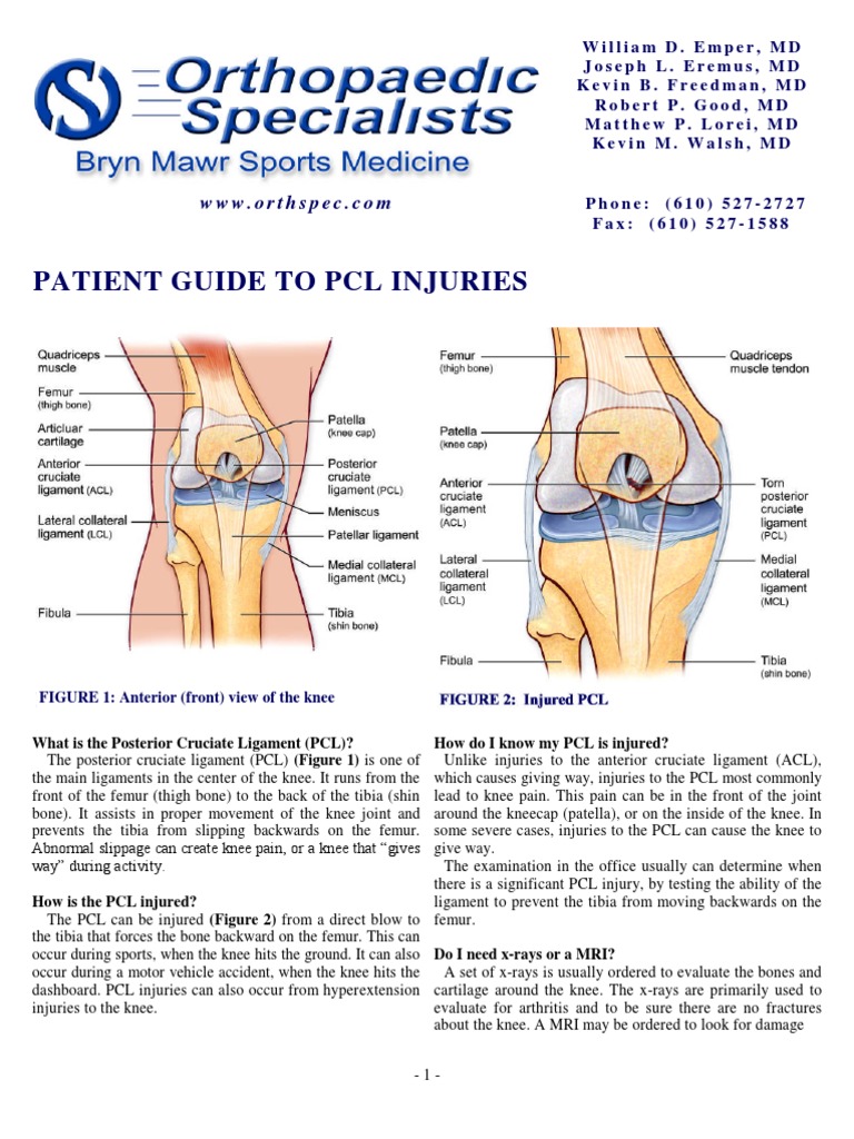 Patient Guide To PCL Injuries | Download Free PDF | Knee | Surgery