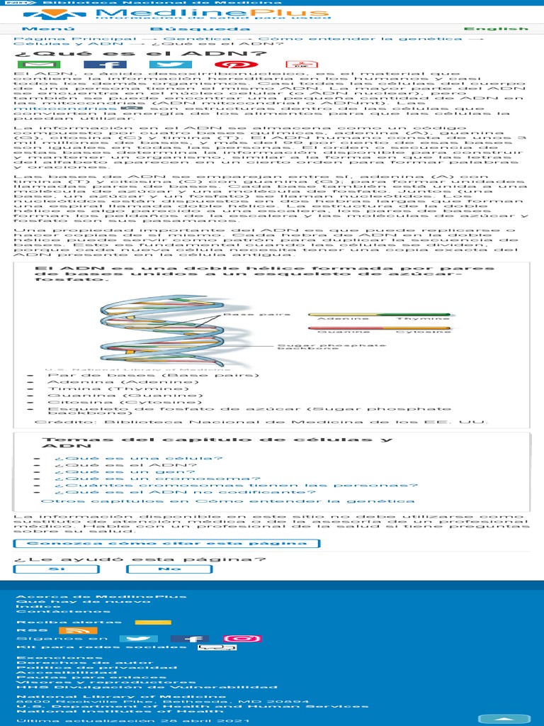 ¿Qué Es El ADN MedlinePlus Genetics | PDF | Adn | Química