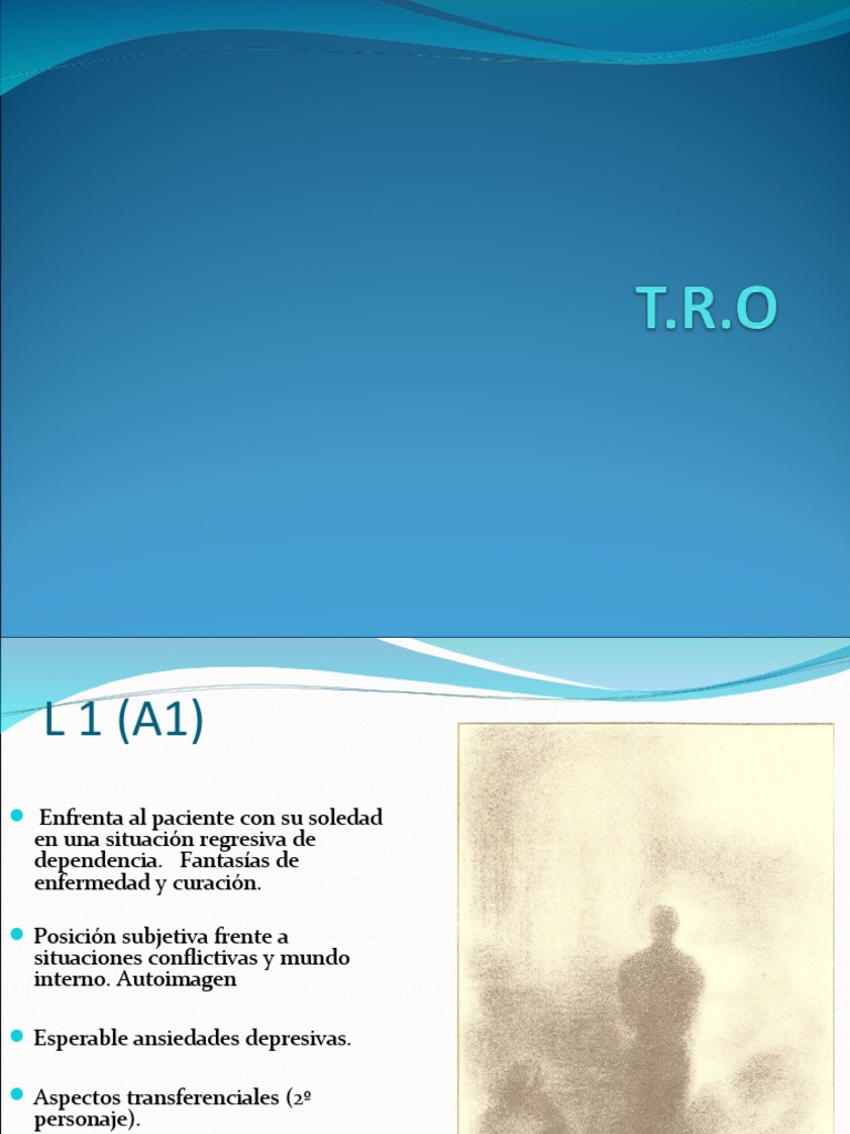 Test Tro Laminas | PDF | Trastorno de ansiedad | Las emociones