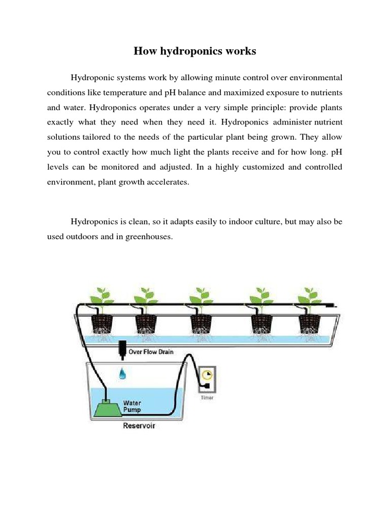How Hydroponics Works and Componentys of Hydroponics | PDF