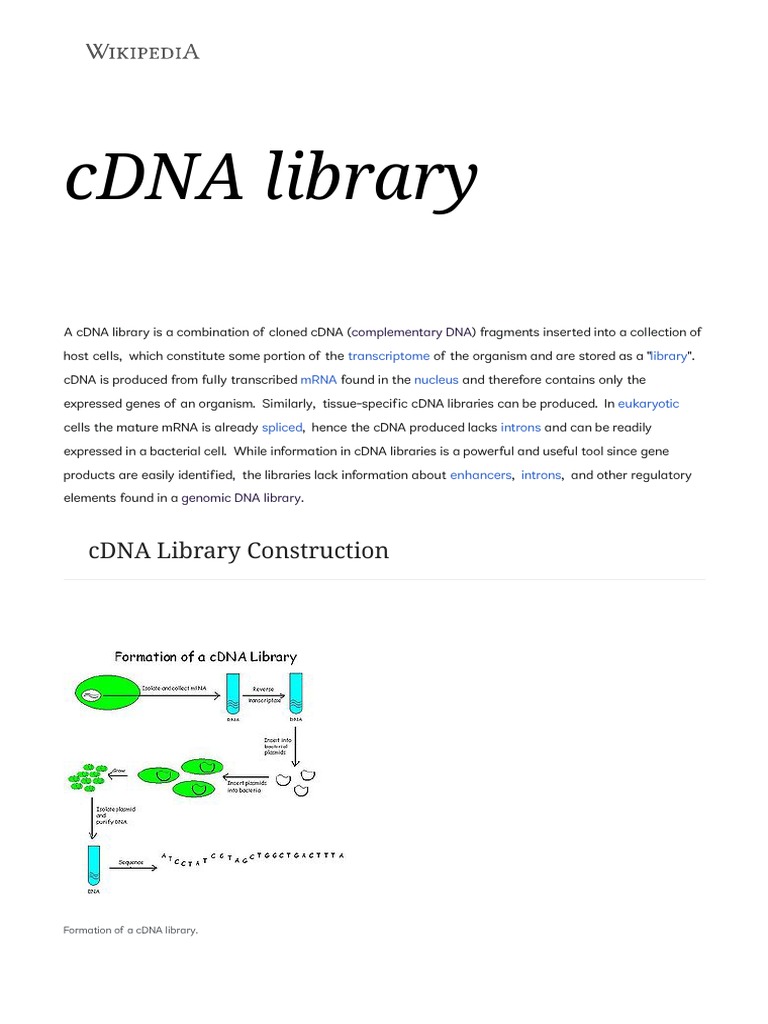 cDNA Library - Wikipedia | PDF | Complementary Dna | Molecular Biology
