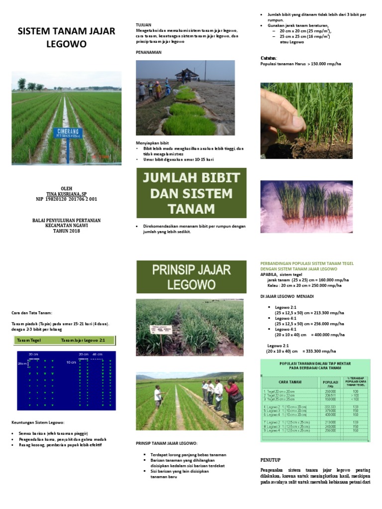 Leaflet Sistem Penanaman Padi Jajar Legowo | PDF