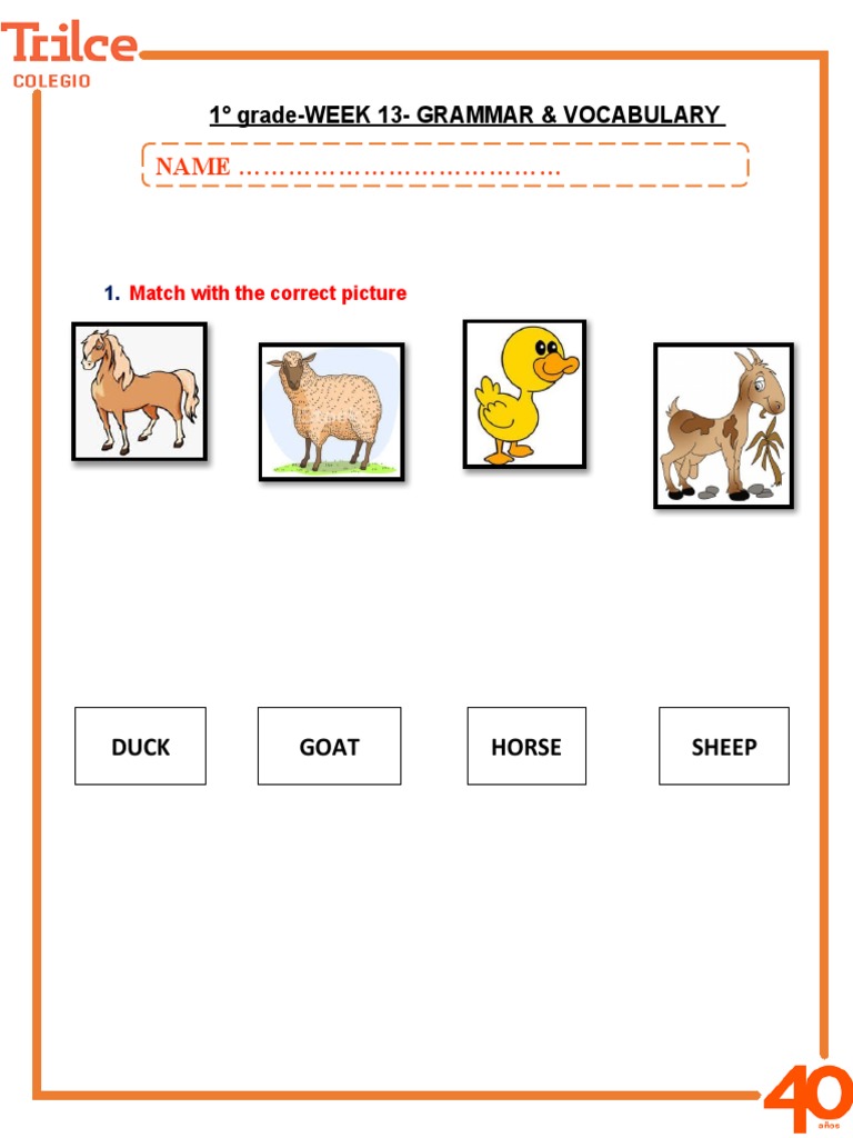 NAME : 1° Grade-Week 13-Grammar & Vocabulary | PDF | Foreign Language ...