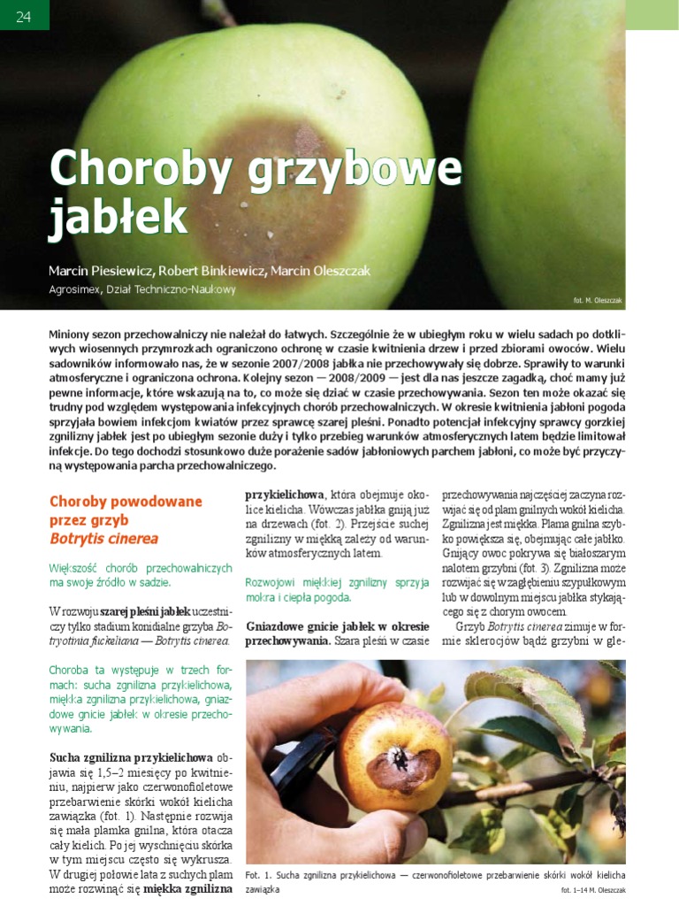 Choroby Jabłka | PDF