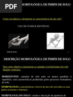 Sistema Brasileiro de Classificação de Solos | PDF | Solo | Geociências