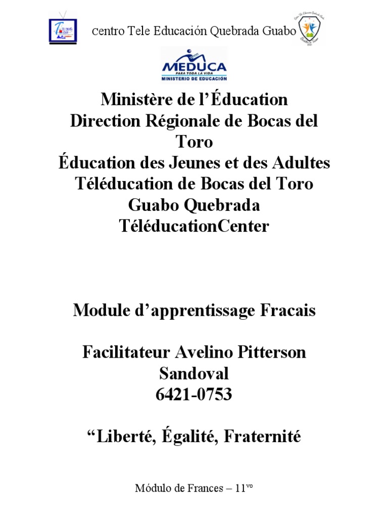 Module d'apprentissage du français | PDF