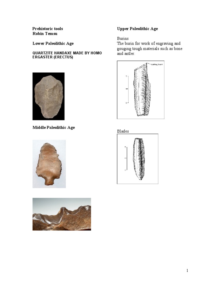 Prehistoric Tool Evolution | PDF | History