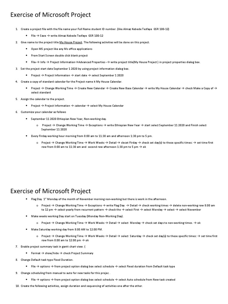 MS Project Exercise | PDF | System Software | Software Development