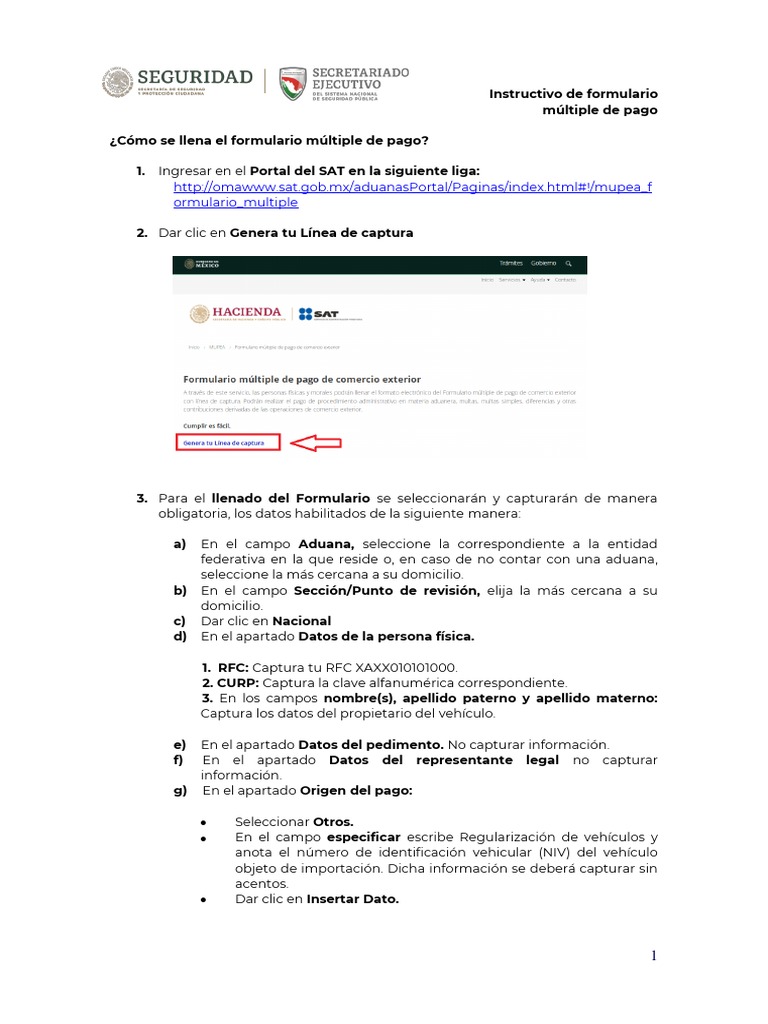 Instructivo Pago SAT | PDF | Informática