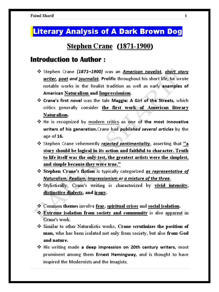 Literary Analysis of Dark Brown Dog - PDF | PDF | Stephen Crane