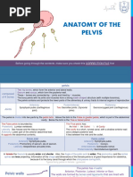 Anatomy of The Cervix, Squamocolumnar Junction, Metaplastic Change and ...
