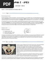 Tipos de Pelve e Suas Características | PDF