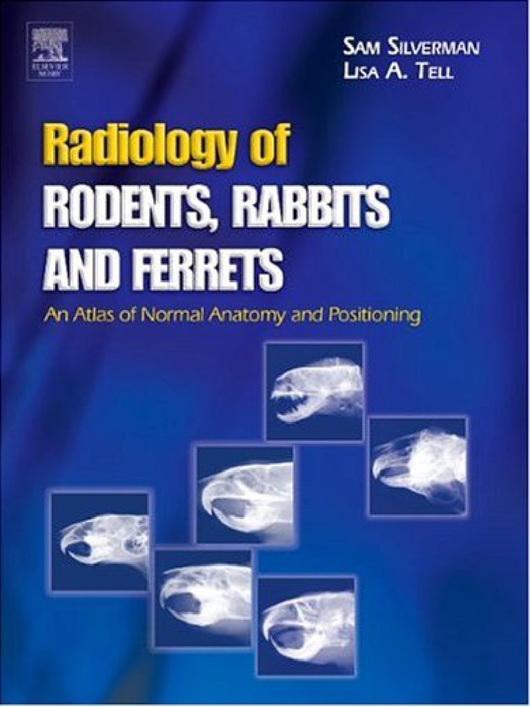 Radiology of Rodents, Rabbits, and Ferrets - An Atlas of Normal Anatomy ...