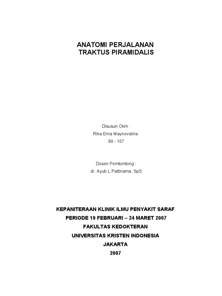 Anatomi Perjalanan Traktus Piramidalis (Rika0 | PDF