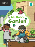 Set 2 Sounds RWI | PDF | Phonics | Learning