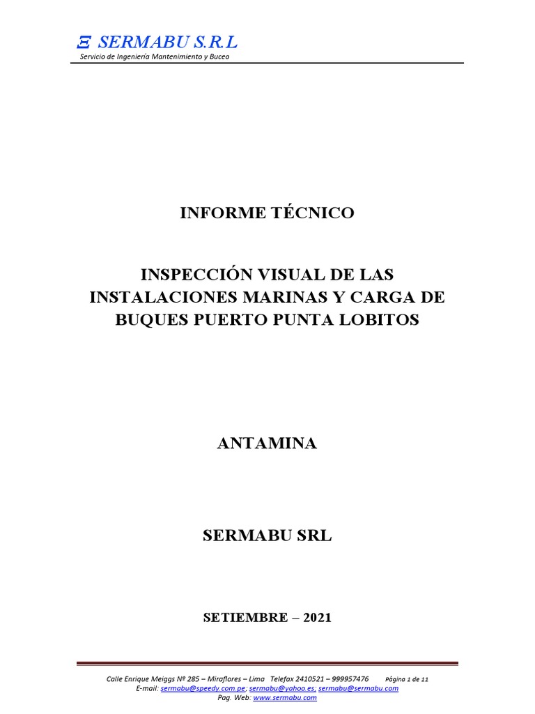 Informe - Inspección Visual Del Muelle Punta Lobitos - Antamina | PDF ...