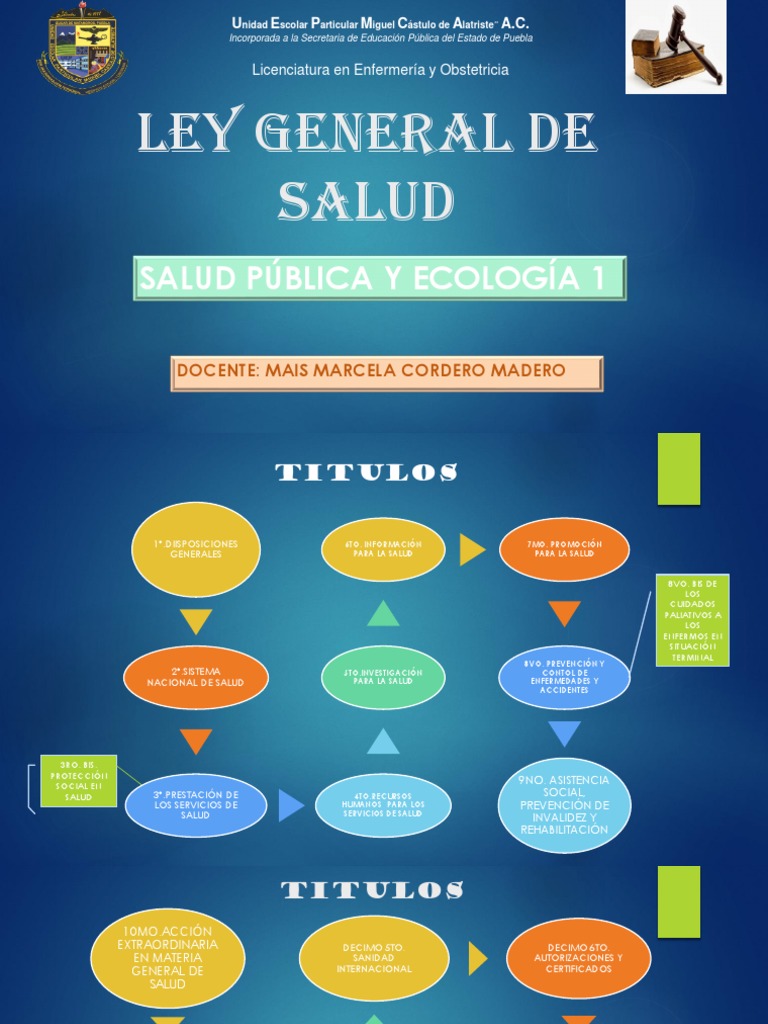 Ley General De Salud Pdf Trabajo Social Cuidado De La Salud 2553