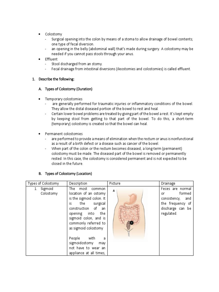 Colostomy and Gastrostomy | PDF | Gastroenterology | Clinical Medicine