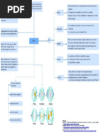 Dextrogiro y Levogiro en Química | PDF | Isómero | Estereoquímica