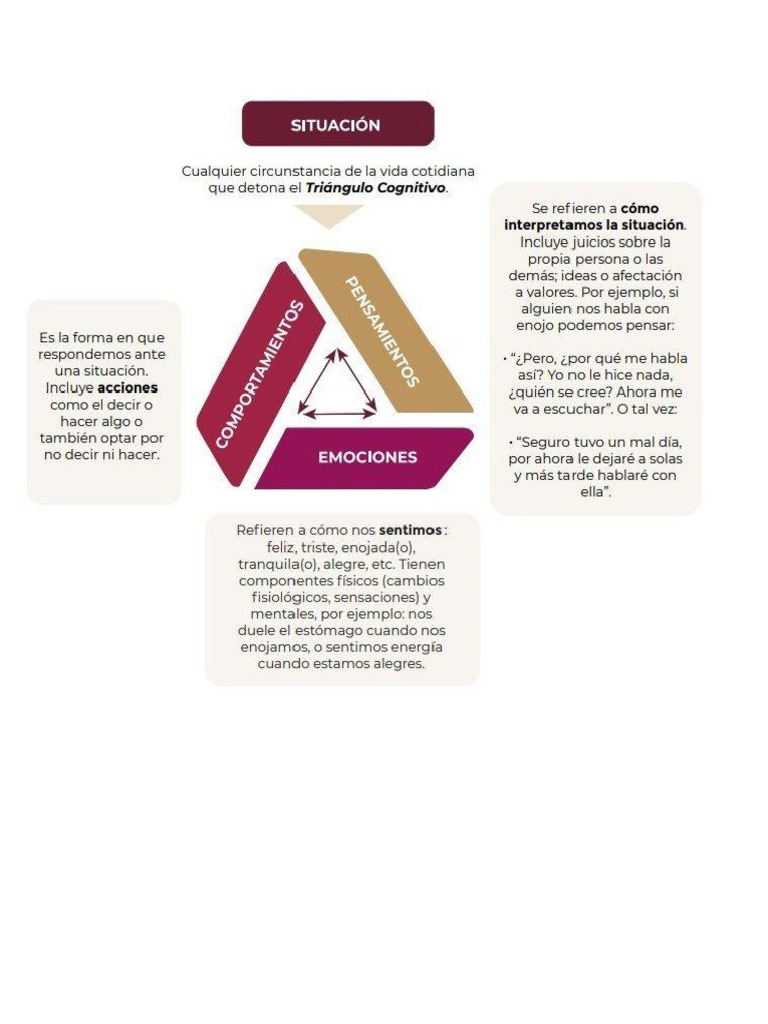 Triangulo Cognitivo | PDF
