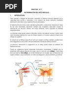 Reflejos Osteotendinosos (Rot) | PDF