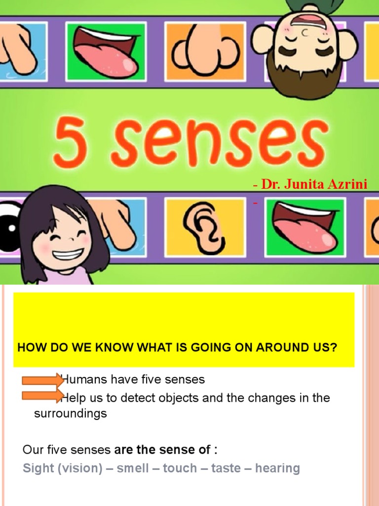 5 Sense | PDF | Senses | Taste