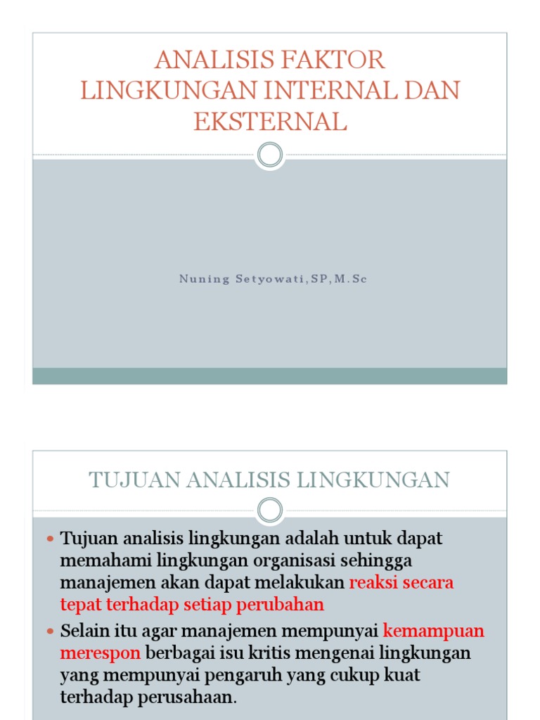 Analisis Lingkungan IFE-EFE | PDF