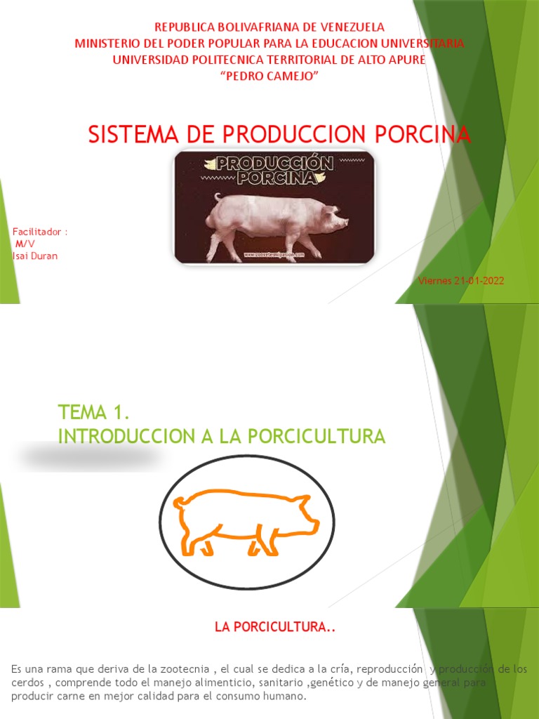 Tema 1 Introduccion A La Porcinocultura. | PDF | Cerdo doméstico | Mamíferos
