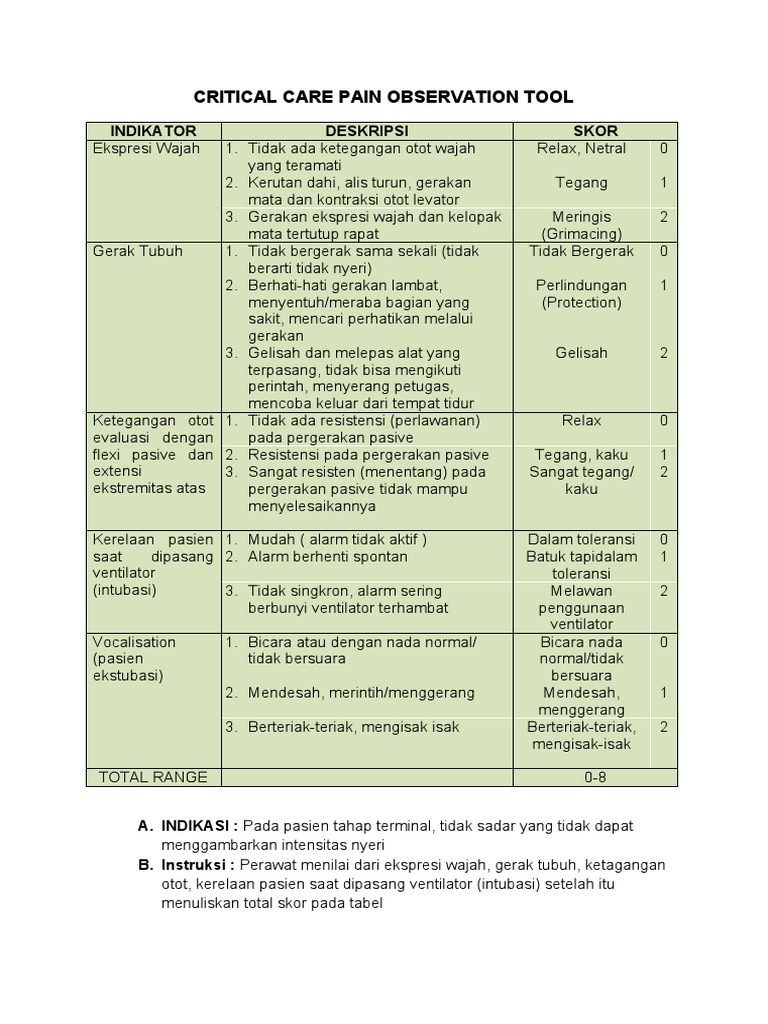 Critical Care Pain Observation Tool | PDF